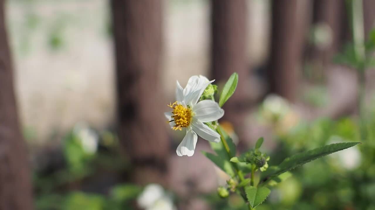 【メーカー再生品】 TOMO1114 fawe.org