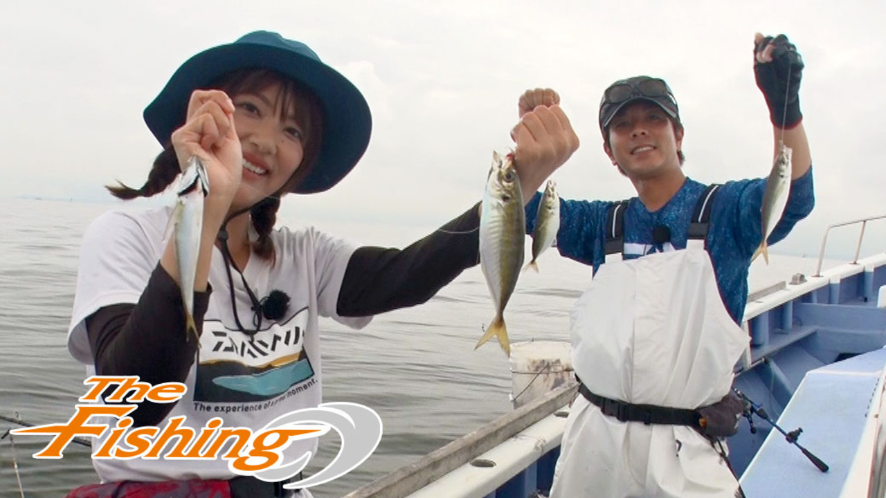 TV番組 - DAIWA CHANNEL